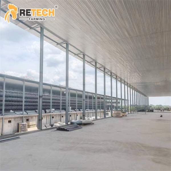 China Egg Layer Chicken Production Equipment Manufacturer