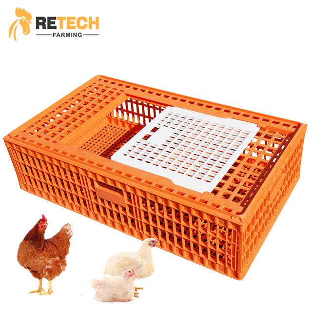 Chicken Transport Basket - Retech Farming Port