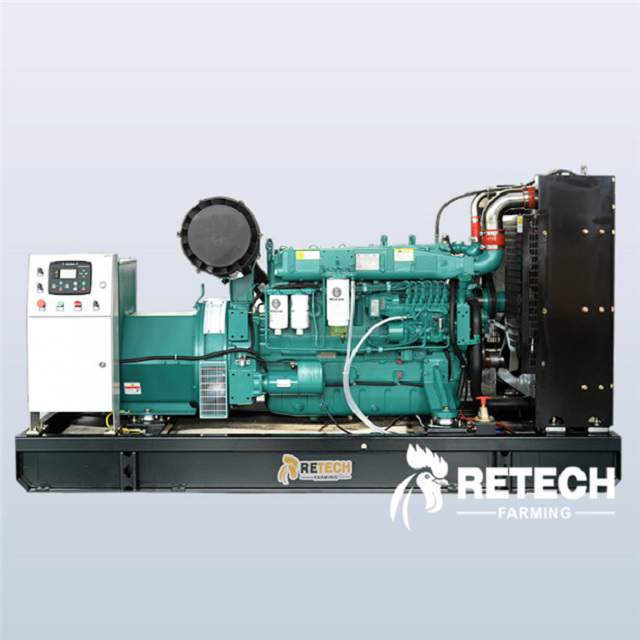 Power Supply Modern Broiler Chicken Farm