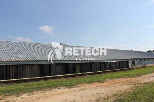 How to build a commercial poultry farm chicken house? - Retech Farming Port