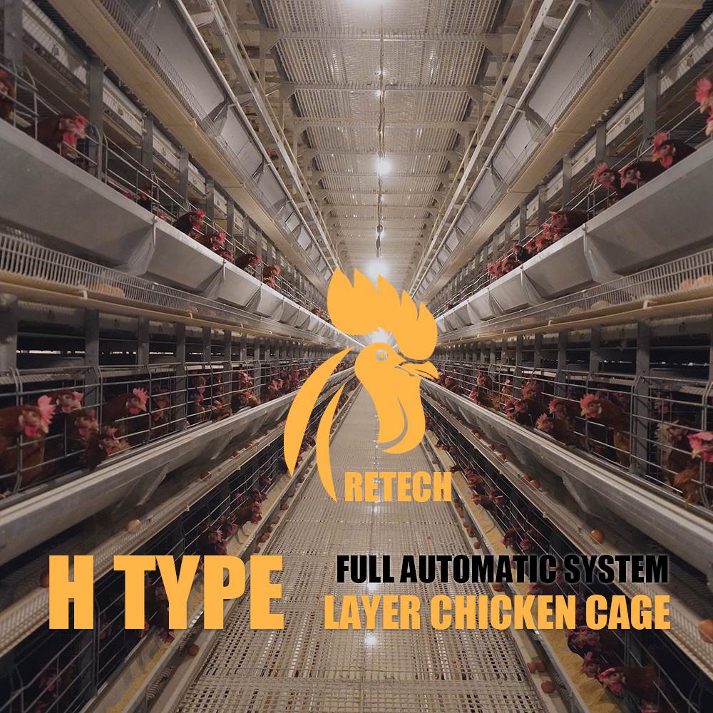 China Layers Cages Equipment Manufacturer Supplier