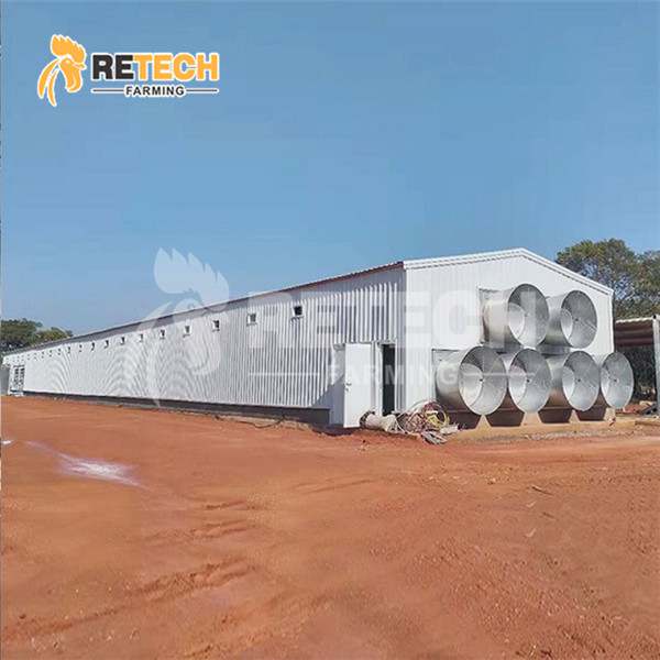 Poultry House Buildings Modern Layer Chicken Farm
