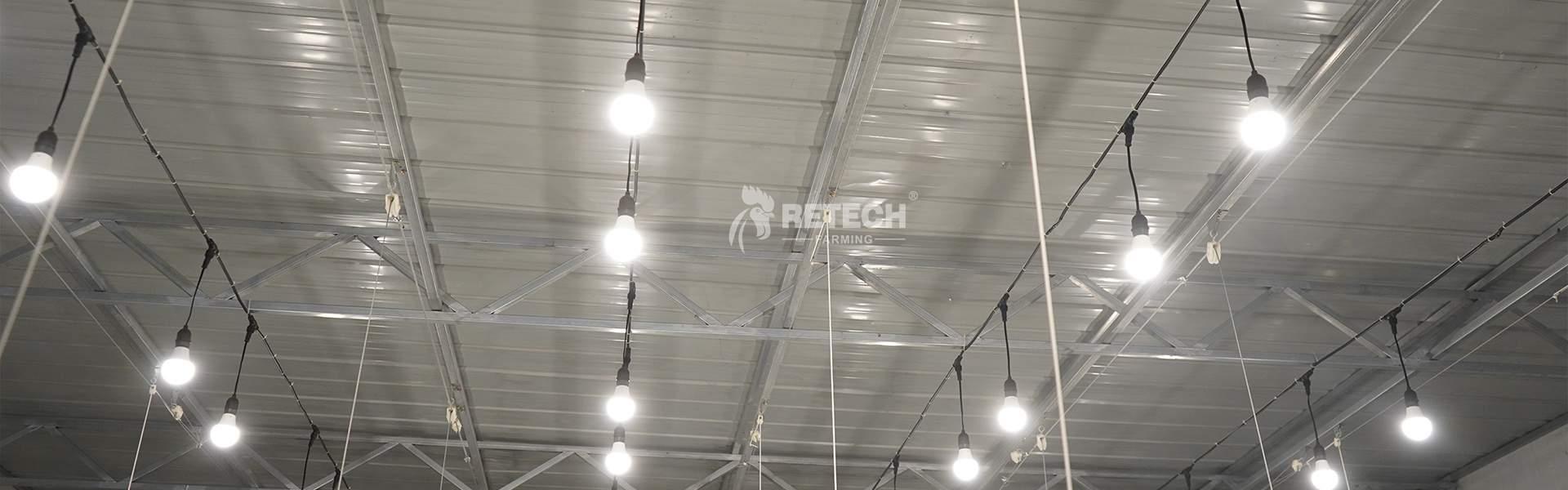 Poultry House Lighting Modern Broiler Chicken Farm
